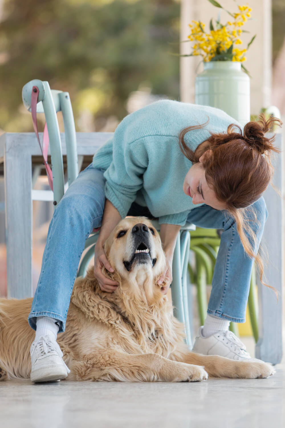 DAYCARE & BOARDING – Dog Play Day Care